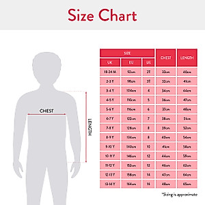 Pokemon Tshirt | Pikachu Boys Tshirts | Pokémon Clothes for Kids Size 13 Multi