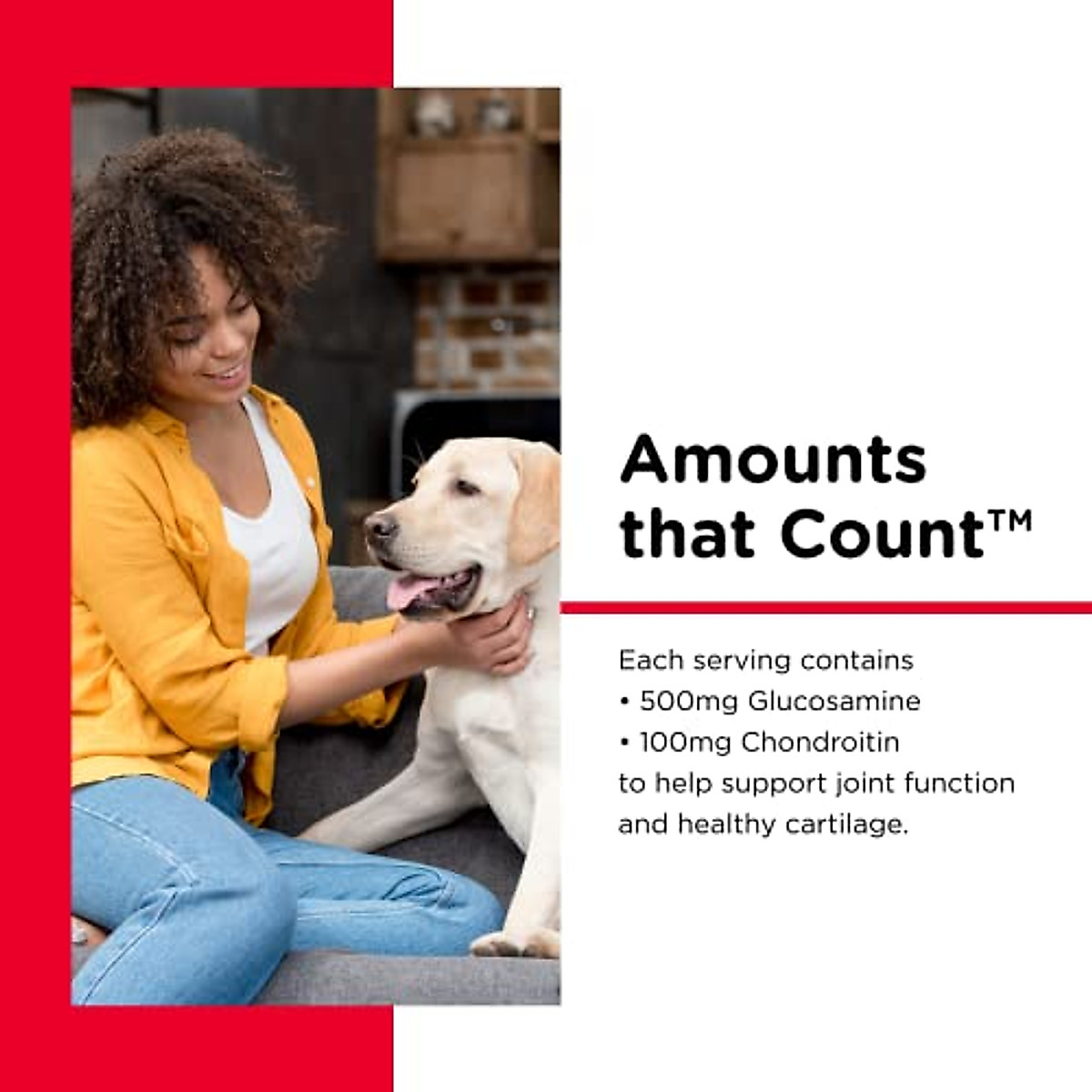 Nutri-Vet Hip & Joint Chewable Dog Supplements | Formulated with Glucosamine & Chondroitin for Dogs | 120 Count