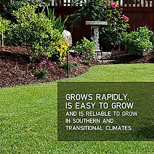 Hancock Seed Co. Highlander Turf Bermuda Grass Seed - 10 lbs.