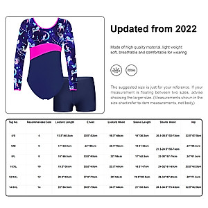 Nikiikoo Kids Girls 2Pcs Gymnastics Dance Outfits Long Sleeve Leotards with Shorts Athletic Biketards Unitards Fairy 4 Years