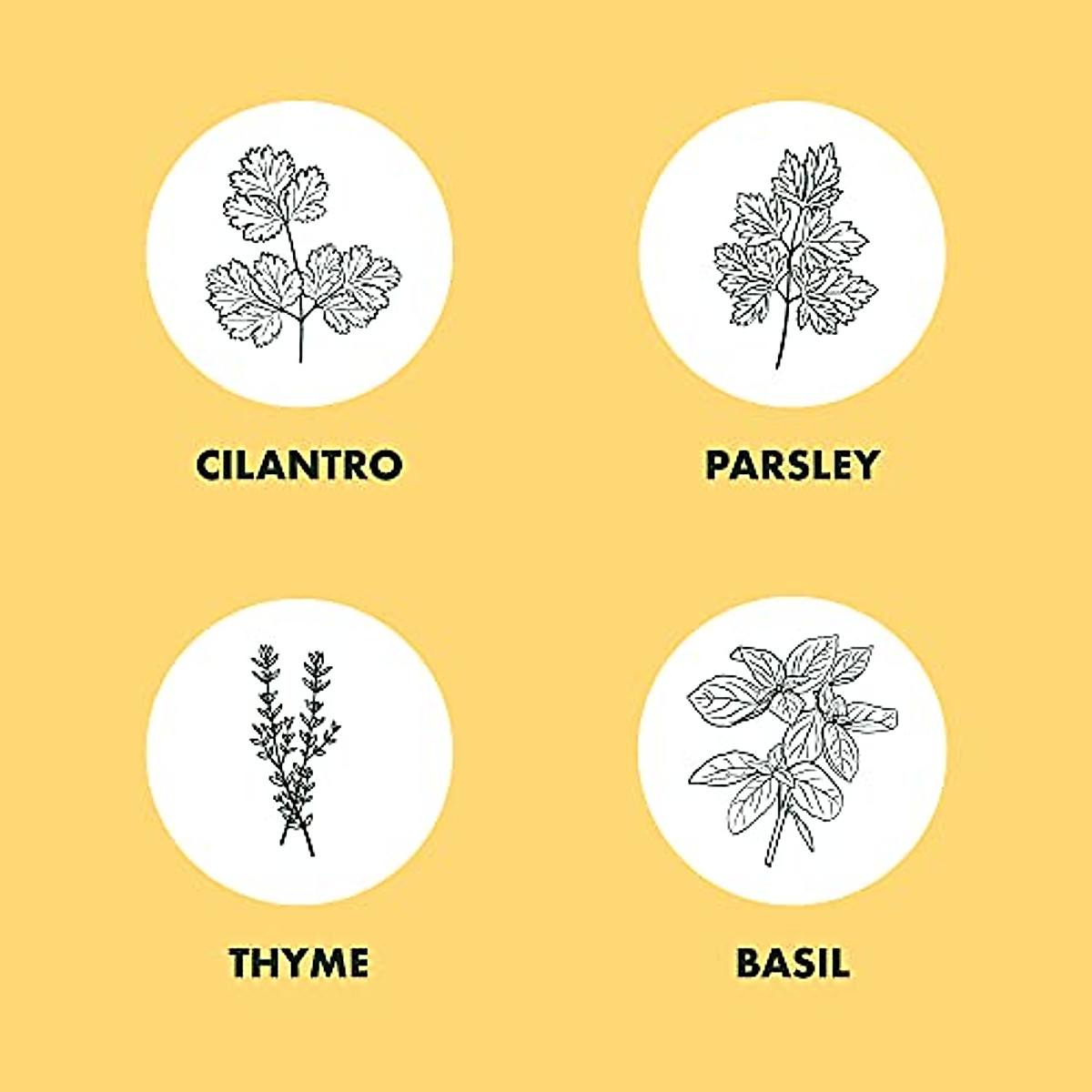 Indoor Herb Garden Starter Kit - Heirloom, Non-GMO Herb Seeds - Basil Thyme Parsley Cilantro Seed, Potting Soil, Pots, Scissors - DIY Grow Kits for Growing Herbs Indoors, Kitchen, Balcony, Window Sill