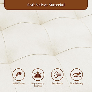 Wrofly 3 in 1 Convertible Sleeper Sofa Bed, Pullout Couch with USB Port & Cup Holder, Modern Futon Loveseat with Storage and Pillows, Velvet Small Couches for Living Room (Beige White)