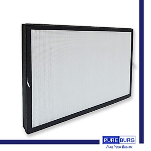 PUREBURG Replacement True HEPA Filters Compatible with Envion Allergy Pro AP450 Air Purifier,Replaces Part# AP450F,H13 High-efficiency Air Clean,2-Pack