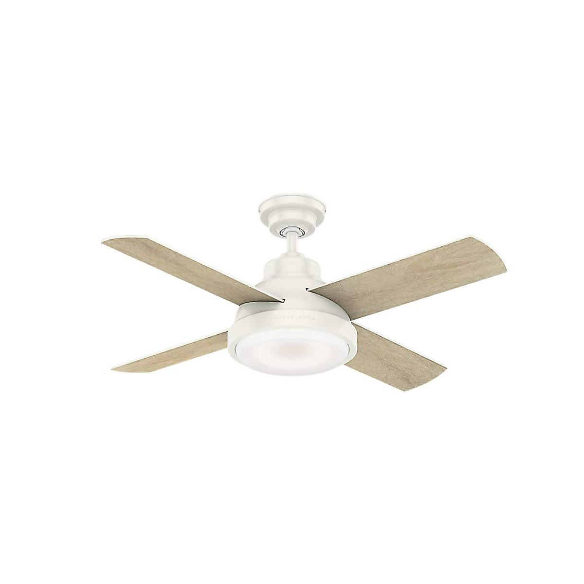 Casablanca Levitt Indoor Ceiling Fan with LED Light and Wall Control