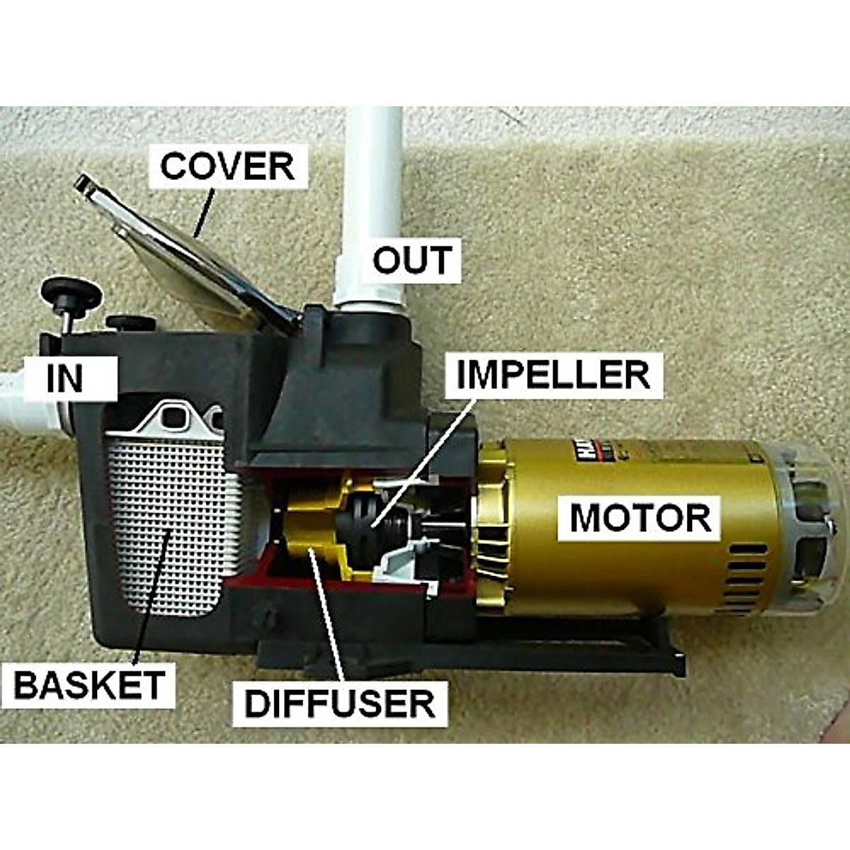 Aquatix Pro Hayward Pump Basket (SPX1600M) Professional Grade Compatible Replacement Strainer Basket with Handles for Hayward Super Pumps, Heavy Duty, Durable, 6" x 5.5" Approx, 1 Year Warranty (1)
