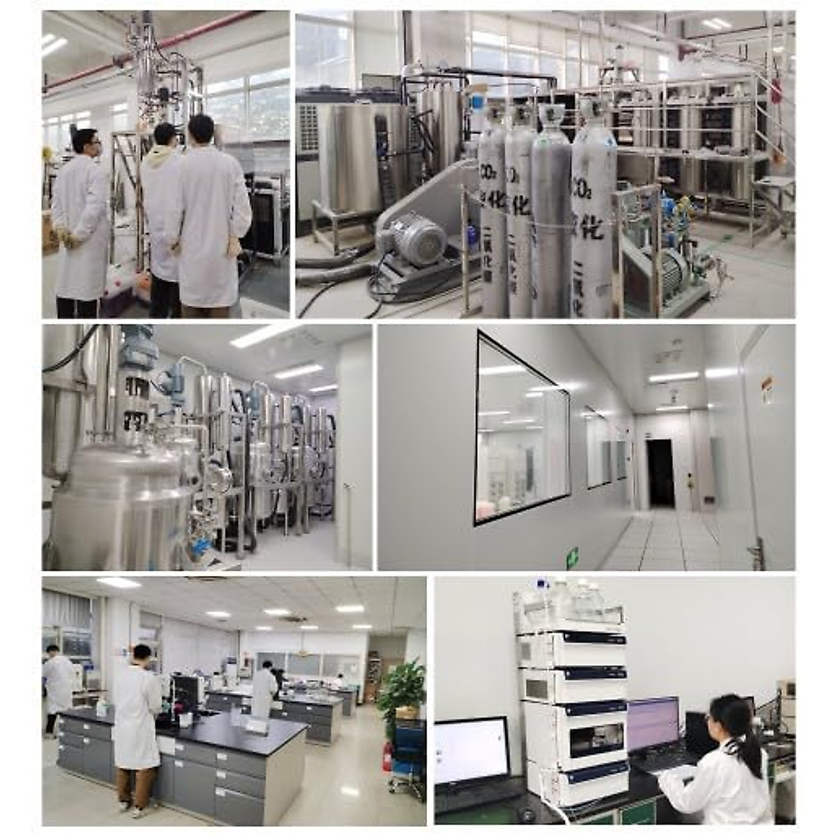 Akersunder Pramiracetam Powder, Purity 99+%, 5 Grams