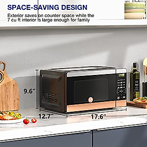 JOY Kitchen Compact Countertop Microwave Oven with LED Display, 6 Auto-Preset Menus, Child Lock, Defrost & Express Cooking Features, 0.7 Cu. Ft. 700W, Stainless Steel