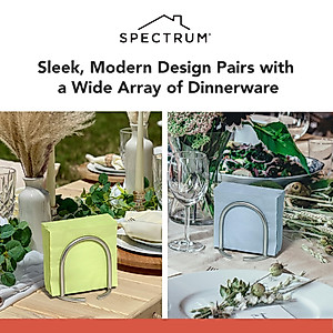 Spectrum Spectrum diversified satin nickel euro napkin holder, 0.25 Ounce