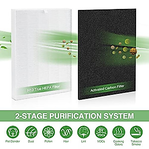 C545 H13 True HEPA Replacement Filter S Compatible with Winix C545 Air Purifier, Replaces Winix S Filter 1712-0096-00, 1 True HEPA Filter + 4 Activated Carbon Filters