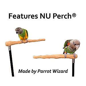 Parrot Training Perch Kit (T Perch, XL)