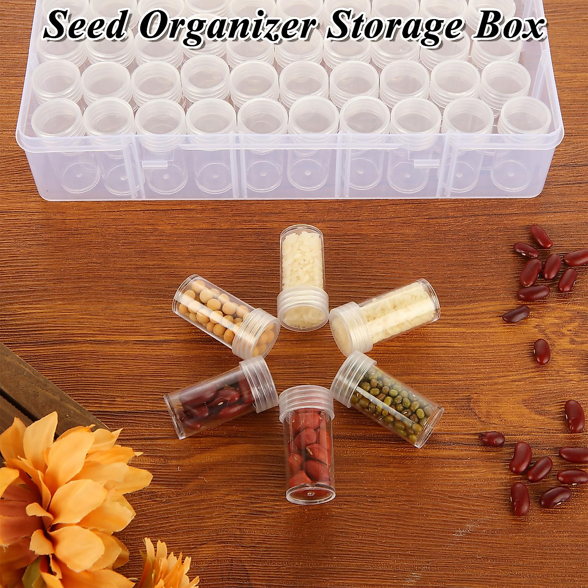 2Pack 60 Diamond Painting Storage Containers Plastic Bead Organizer Box with Label Sticker, Diamond Art storage Clear Bead Storage Containers Accessories for Seeds Sewing Craft Glitter Rhinestones