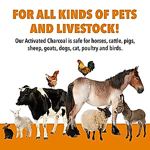 VetDtox 1qt Activated Charcoal Powder for All Kinds of Pets & Livestock, Dog, Cat, Chicken, Horses and More - for Diarrhea, Gas Relief, Liver Support
