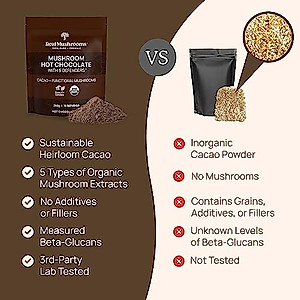 Real Mushrooms Organic Hot Chocolate Mix with 5 Defenders Turkey Tail, Chaga, Maitake, Shiitake, Reishi Mushroom - Cacao Powder Vegan Supplement, Gluten-Free, 15 Servings