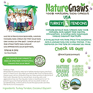 Nature Gnaws USA Turkey Tendons for Dogs (1Lb) - Delicious Grain Free Reward Snack for Small, Medium & Large Breeds - Premium Natural Dog Chew Treats