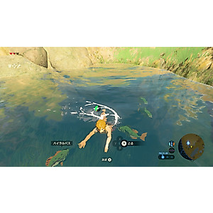 The Legend of Zelda: Breath of the Wild (Non-US Version)