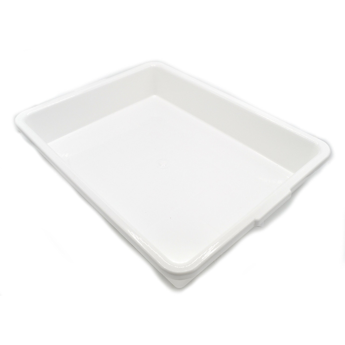 EISCO Laboratory Tray - 17.5 x 13.5 x 3 Inches - Polypropylene Plastic