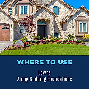 BioAdvanced Complete Insect Killer for Soil and Turf, Ready-to-Spray, 32 oz