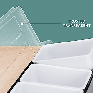 TRBIDRBO 6 Compartment Fruit Veggie Condiment Caddy with Lid, Plastic Ice Cooled Condiment Serving Container Chilled Garnish Tray Bar Caddy