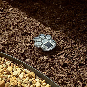 Smart Solar Paw Print Garden Accent Light with Cool White LEDs 3341WMM6