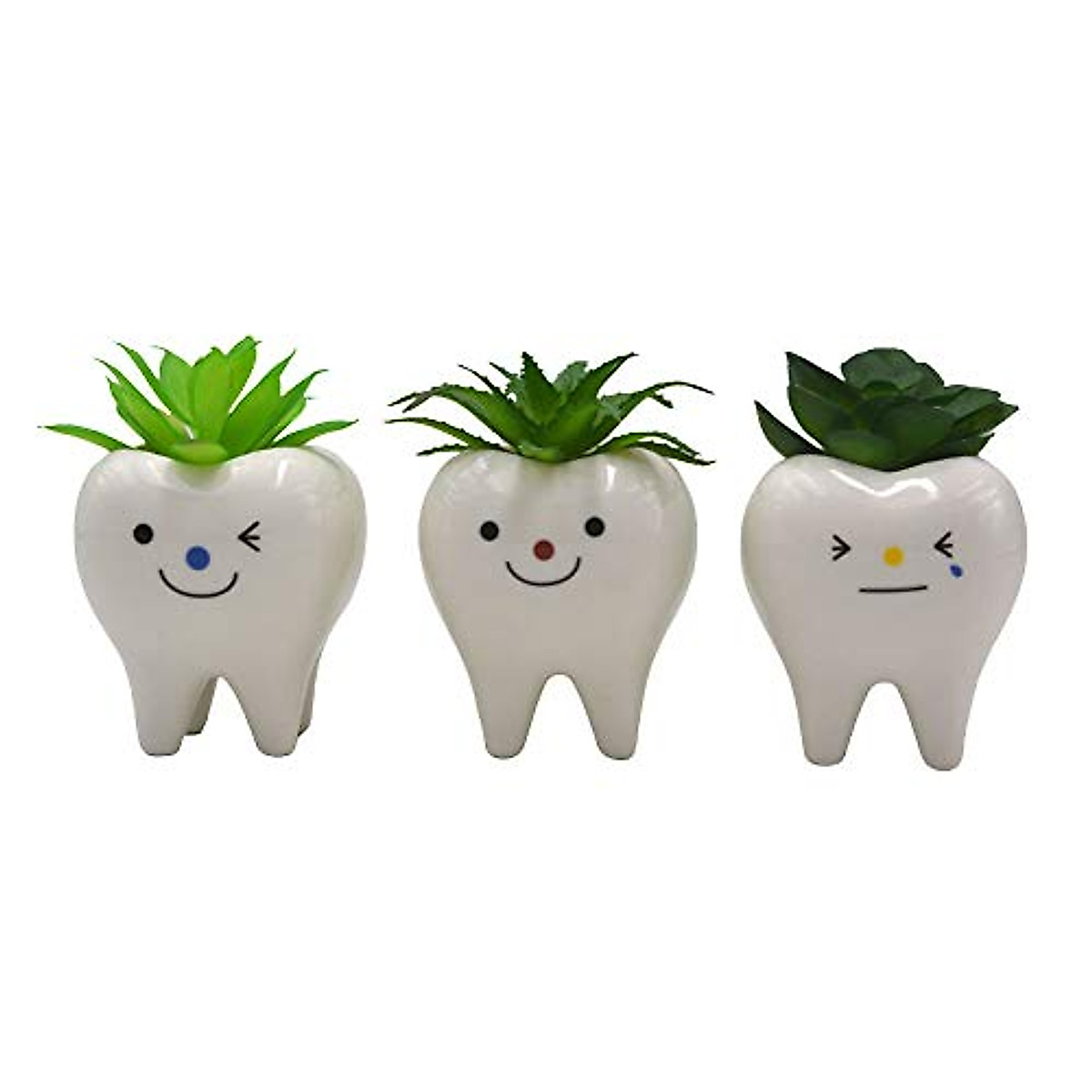 MONMOB Pack of 3 Mini Shaped Tooth Planter Ceramic Succulent Plant Pots Set for Small Succulent Tooth Gifts for Adults Kids Women Dentist