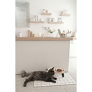 Elevated Cat Ceramic Bowls Stand for Food and Water, Small Dog, Anti Vomit, Indoor Cats, Tilted Feeding Position, Full Bamboo Body Stand with Food Grade, Whisker Friendly Dish for Cats and Puppy