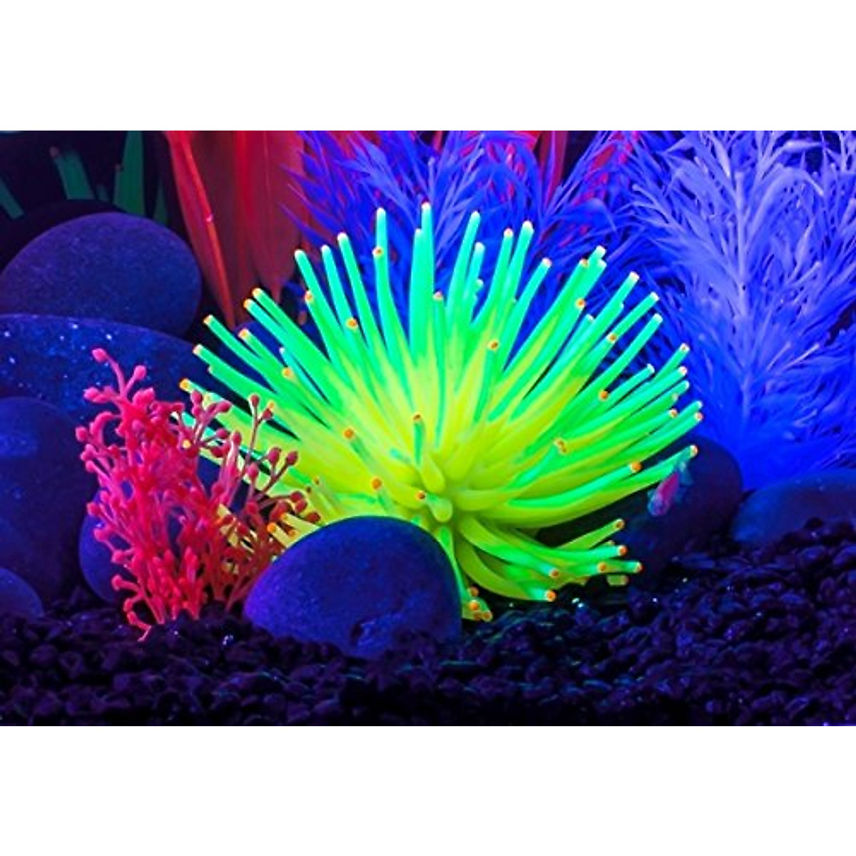 GloFish Anenome Ornaments, Fish Tank Decorations, Aquarium Decorations, Creates a Glowing Effect