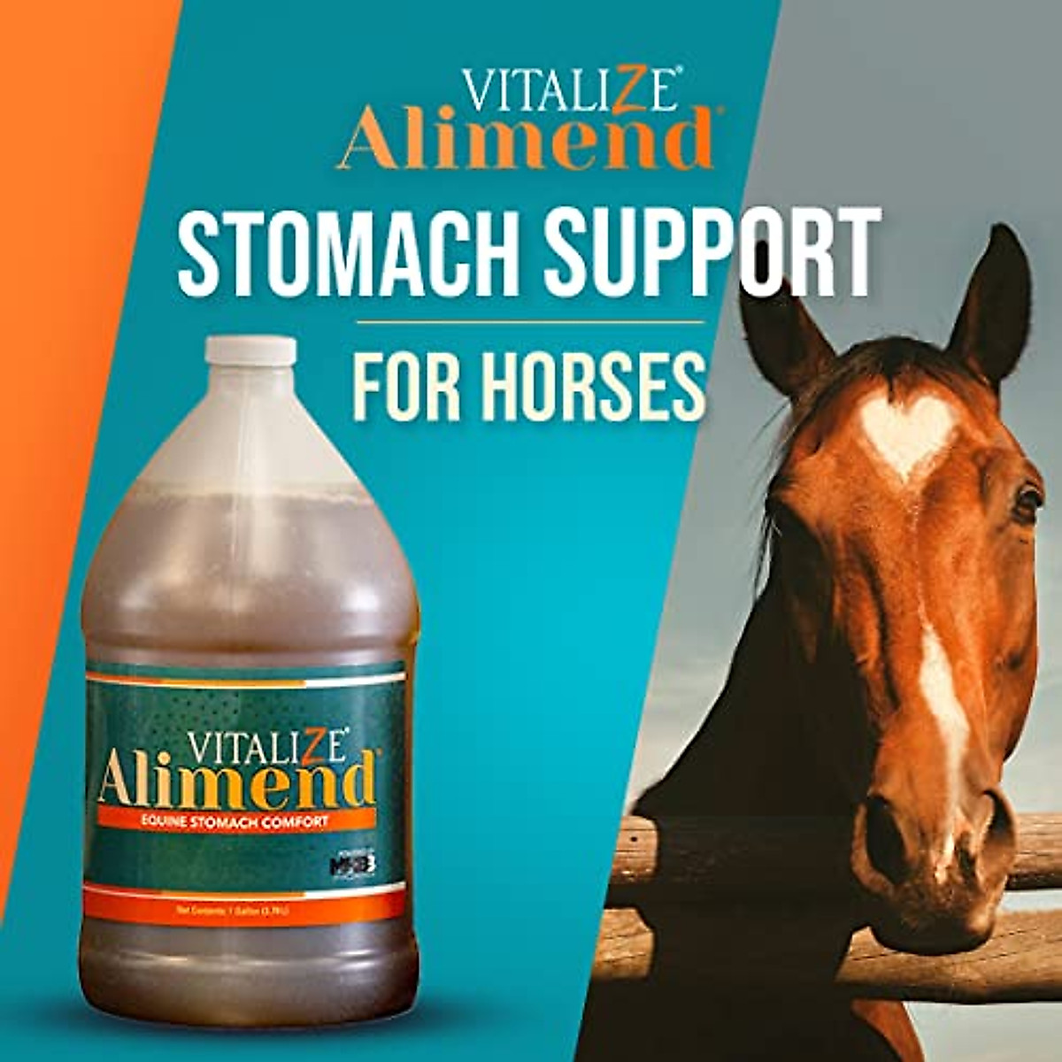 Alimend Stomach Support for Horses, 64 Fluid Ounce (1893 ml)