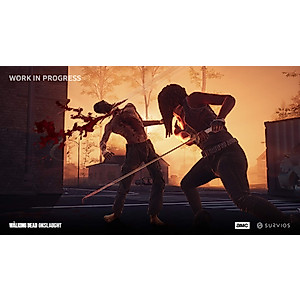 The Walking Dead: Onslaught (PS4)