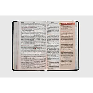 NLT Student Life Application Study Bible, Filament Enabled (LeatherLike, Charcoal Gray Striped, Red Letter)
