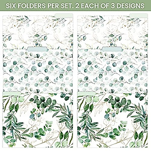 bloom daily planners Decorative File Folders - Set of Six Letter Size (8.5” x 11”) Organizers, 1/3 Cut Tabs - Assorted Designs - Eucalyptus