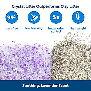 PetSafe ScoopFree Premium Crystal Cat Litter - 5x Better Odor Control Than Clay Litter - Less Tracking & Dust For A Fresh Home - Non-Clumping - Two 4.3 lb Bags Of Litter (8.6 lb Total) - Lavender