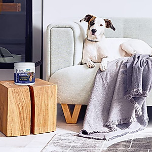 Gonzo Natural Magic Air Activated Charcoal - 2 Pack - for Litter Boxes Cages and Pet Beds 14 Ounce