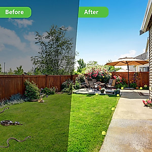 Homsor Snake Repellent Pet Safe 10 Pack Powerful Snake Away Repellent for Outdoors Indoor Yard House Camping Lawn Natural Snake Be Gone Balls to Keep Snakes Away from Your Family