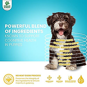 Doggie Dailies Cognitive Puppy Chews | Puppy Vitamins with DHA, Selenium, Organic Ashwagandha & Antioxidants to Support Brain Health, Nervous System Function & Promote Calmness | 120 Soft Chews