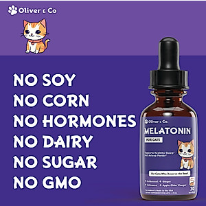 Melatonin for Cats | Supports Healthy, Restful Sleep for Your Cat | Cat Sleep Aid | Cat Calming | Cat Anxiety Relief | Cat Melatonin | Anxiety Relief for Cats | Cat Stress Relief | 1 fl oz