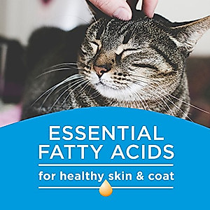 Purina Cat Chow High Protein Dry Cat Food, Complete - 22 lb. Bag