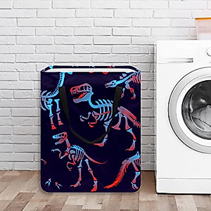 Dinosaur Skeletons Bone Print Collapsible Laundry Hamper, 60L Waterproof Laundry Baskets Washing Bin Clothes Toys Storage for Dorm Bathroom Bedroom