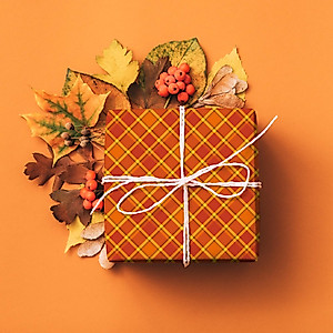 Whaline 12Pcs Fall Cotton Fabric Bundles 10 x 10 Inch Autumn Buffalo Plaid Fat Quarters Plaid Quilting Patchwork Squares Sewing Fabrics for Harvest Thanksgiving DIY Handmade Craft Home Party Decor