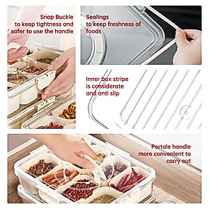 ALEXPRE Divided Serving Tray with Lid,Snack Box,Portable Snack Platters Organizer,Charcuterie Snackle Box Container with 8 Compartments & 5 Forks,Food Storage Containers,Keep Your Candy,Chips Fresh.