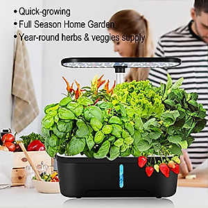 DISNILA Hydroponic Growing System Indoor Hydroponics Garden 20W 83 LED Full Spectrum Growing Light, 6Pods Smart Automatic Timer Hydrogarden for Indoor Kitchen Black