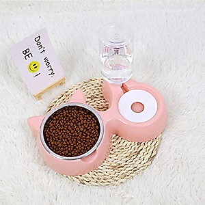 Double Bowl Water and Food Cat Feeder - Stainless Steel Bowl and Automatic Water Dispenser Bottle for Cats and Dogs