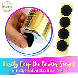 Revealations Gender Reveal Confetti Powder Cannon - Set of 4 Mixed (2 Blue 2 Pink) Gender Reveal Party Supplies - 100% Biodegradable Tissue Safe Powder Smoke