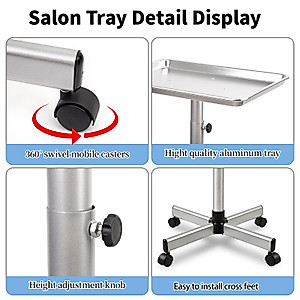 Salon Tray Cart on Wheels-Height Adjustable Color Tray-Salon Service Rolling Tray-Premium Aluminum Color Tray for Hair