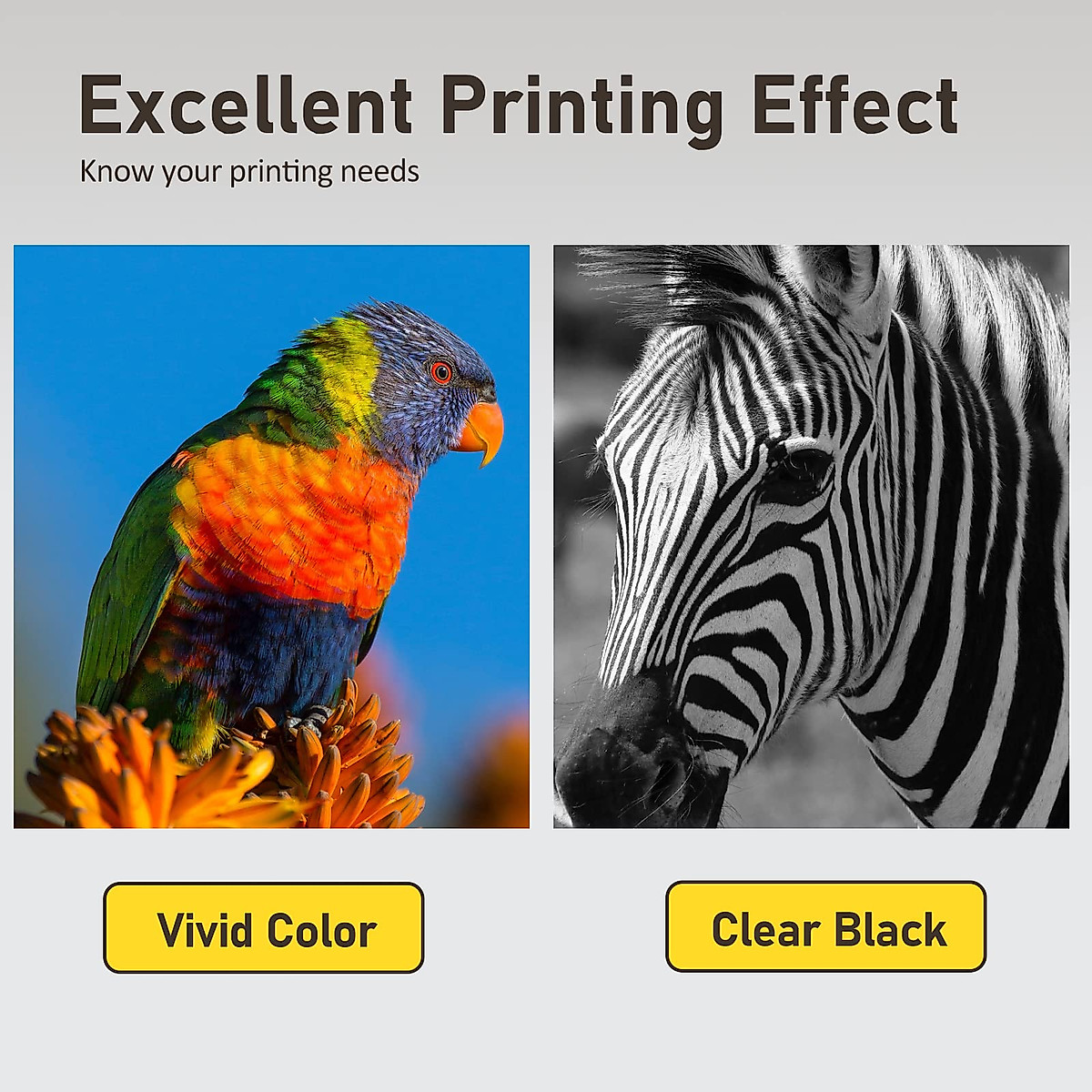 62XL Ink Cartridges High Yield Replacement for HP Ink 62xl Black and Color Combo Pack Work with HP Envy 5540 5549 5640 5660 7640 7645 OfficeJet Mobile 250 200 OfficeJet 5740 5741 8040 Printer