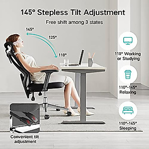 Hbada Ergonomic Office Chair, 2D Adjustable Lumbar Support and Headrest, Large Angle Adjustment of The Back,Black