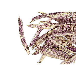 Dragon's Tongue Bush Bean Seeds for Planting, (Dragon Langerie), 25+ Heirloom Seeds Per Packet, (Isla's Garden Seeds), Non GMO Seeds, Scientific Name: Phaseolus vulgaris, Great Home Garden Gift