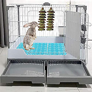 PINVNBY Bunny Chew Toys for Teeth Natural Organic Fruitwood Rabbits Cage Molar Sticks for Chinchillas, Guinea Pigs, Hamsters, Parrots and Other Small Pet Chewing Improve Dental Health