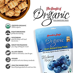 Grandma Lucy's Organic Oven Baked Dog Treats - Blueberry, 14 oz