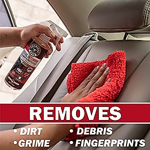 Chemical Guys SPI22516 Total Interior Cleaner & Protectant (Safe on Dash, Leather, Vinyl, Plastics, Trim, Glass, Fabric & More), 16 fl oz (Black Cherry Scent)