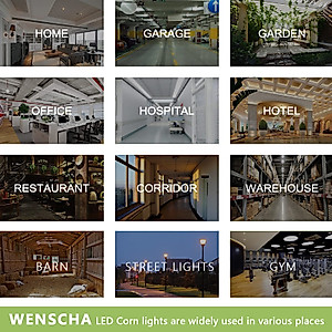 50W LED Corn Light Bulbs-500W Equivalent, 5500 Lumens,6500K Daylight White,E26 Base Led Replacement HID HPS Mercury Vapor CFL Metal Halide Lamp for Warehouses,Garages,Street（Daylight White,2PACK)